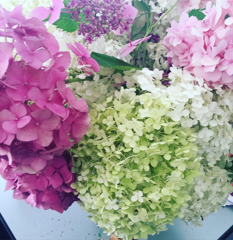 Le foglie d'autunno ritratte da Silvia | Italian Botanical Trips